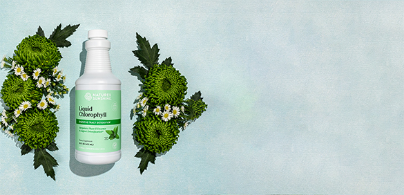 papildai – Nature's Sunshine produkcija
